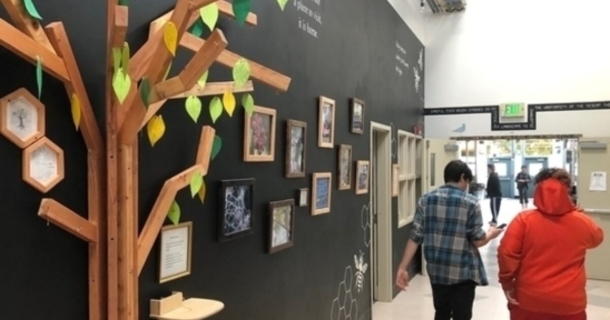 Importance of High School Profiles for College Admissions | NGLC