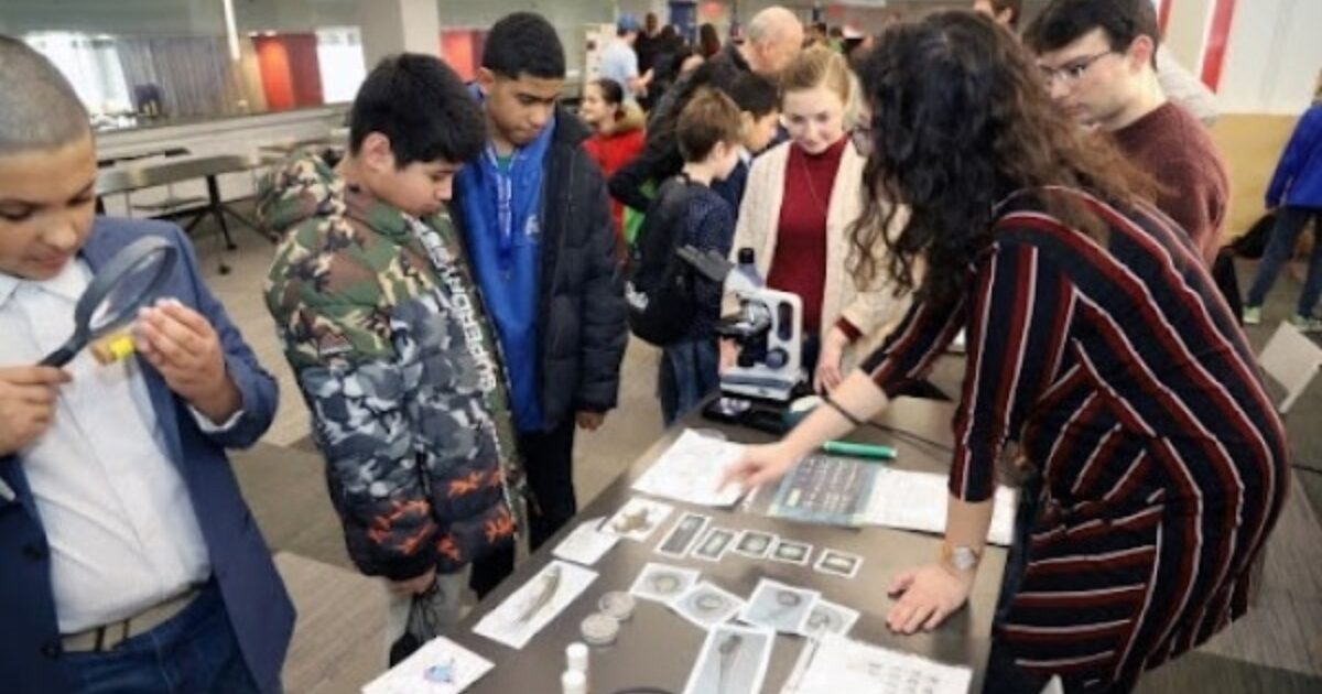 How Does STEM Education Help Marginalized Students? | NGLC