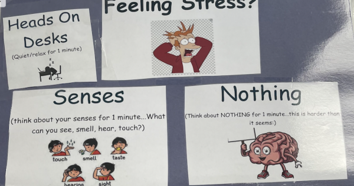 How to Develop Social-Emotional Skills in the Classroom | NGLC